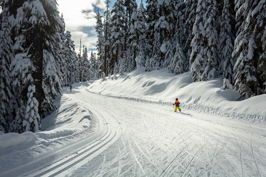 Xcs Images – Browse 79 Stock Photos, Vectors, and Video | Adobe Stock