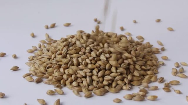 「Escanda」の画像 - 13 件の Stock 写真、ベクターおよびビデオ | Adobe Stock