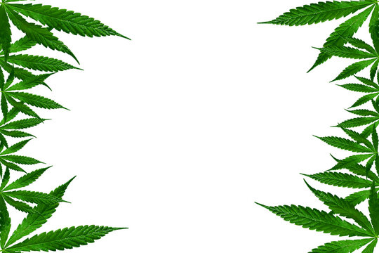 255,645 BEST Marijuana IMAGES, STOCK PHOTOS & VECTORS | Adobe Stock