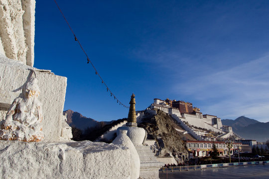 Budala Images – Browse 34 Stock Photos, Vectors, and Video | Adobe Stock