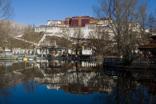 Budala Images – Browse 34 Stock Photos, Vectors, and Video | Adobe Stock