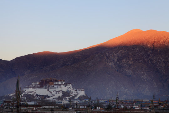 Budala Images – Browse 34 Stock Photos, Vectors, and Video | Adobe Stock