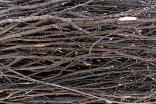 「Legnetti」の写真素材 | 86件の無料イラスト画像 | Adobe Stock