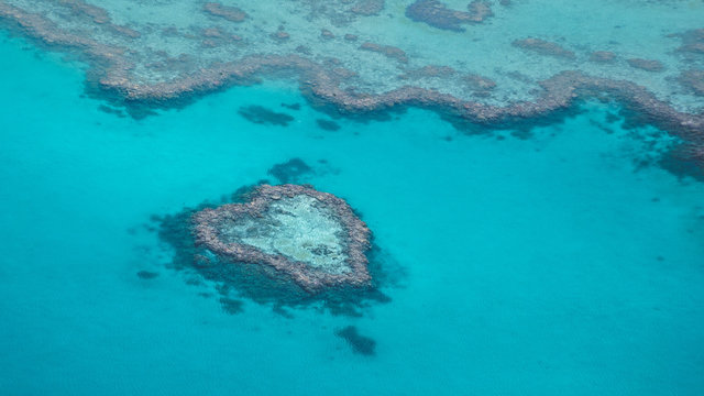 "Heart Reef"-Bilder: Stock-Fotos & -Videos. | Adobe Stock