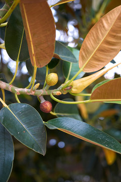 Sycone Images – Parcourir 304 le catalogue de photos, vecteurs et ...