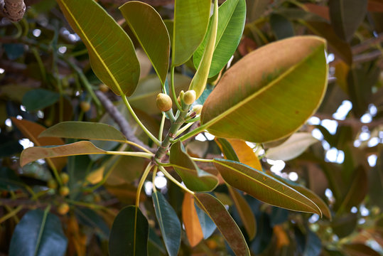 Sycone Images – Parcourir 304 le catalogue de photos, vecteurs et ...