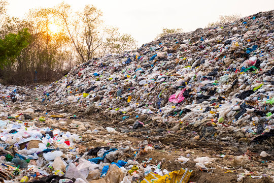 Free Garbage Images – Browse 8,027 Free Stock Photos, Vectors, and ...