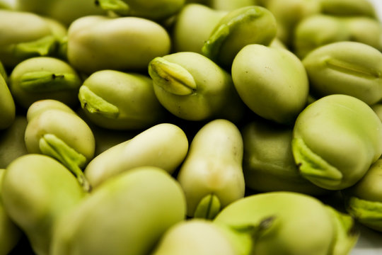 Imágenes de Fave: descubre bancos de fotos, ilustraciones, vectores y ...