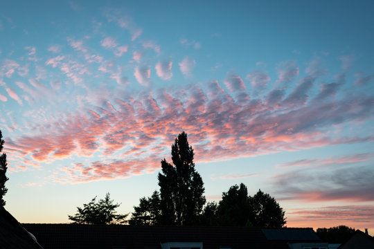 รูปภาพAltocumulus – เลือกดูภาพถ่ายสต็อก เวกเตอร์ และวิดีโอ16,382 ...