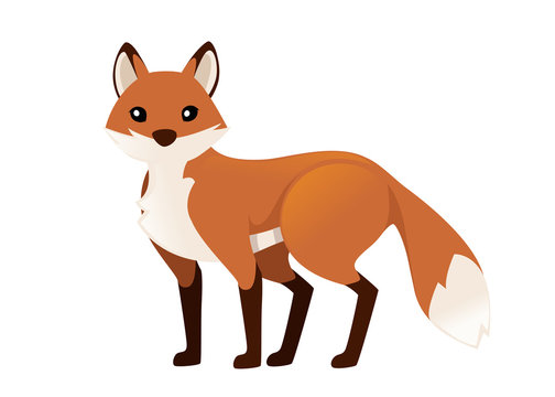 Red Fox Cartoon Images – Browse 52,018 Stock Photos, Vectors, and Video ...