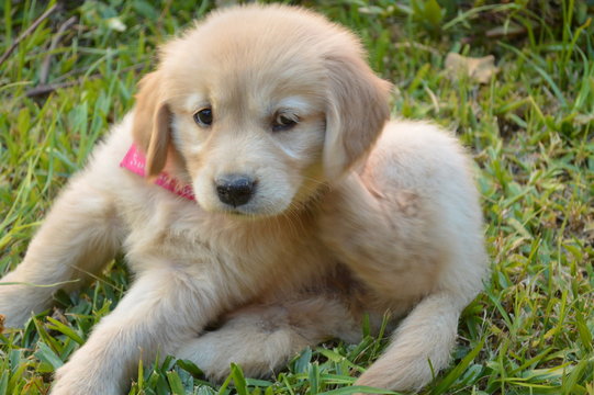 Rascandose Images – Browse 53 Stock Photos, Vectors, and Video | Adobe ...