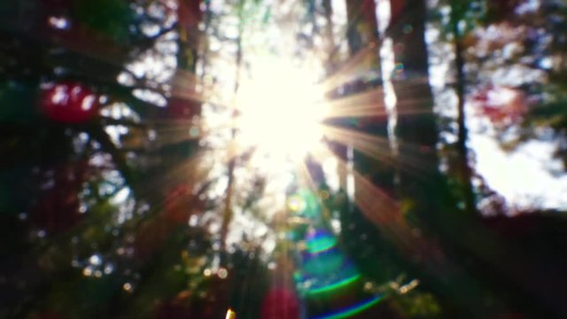 "Background Plate" Bilder – Durchsuchen 3,488 Archivfotos ...