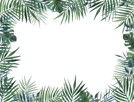 Watercolor Palm Leaf Border Images – Browse 544 Stock Photos, Vectors ...