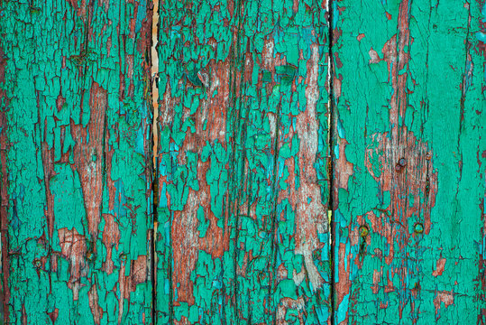 Fenece Images – Browse 58 Stock Photos, Vectors, and Video | Adobe Stock