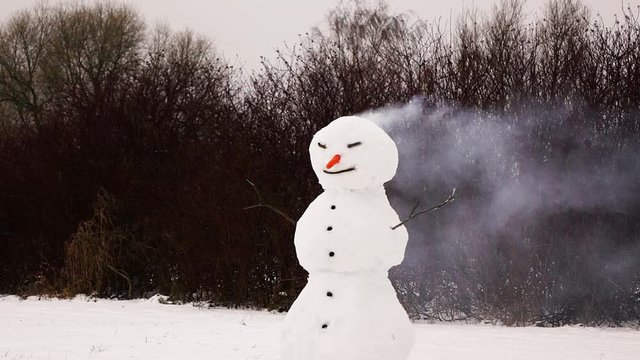 Dehiscence Images – Browse 397 Stock Photos, Vectors, and Video | Adobe ...