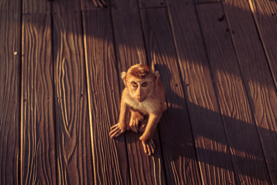 Imágenes de Sdfdsf: descubre bancos de fotos, ilustraciones, vectores y ...