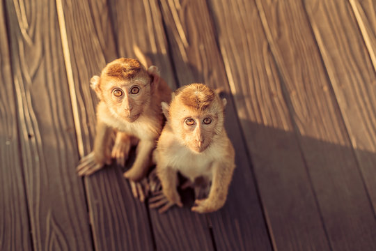 Sdfdsf Images – Browse 14 Stock Photos, Vectors, and Video | Adobe Stock