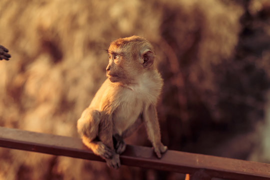 Sdfdsf Images – Browse 14 Stock Photos, Vectors, and Video | Adobe Stock