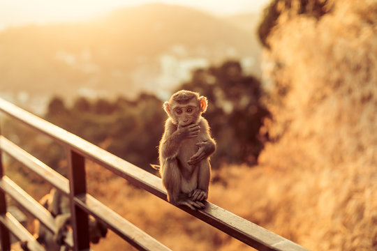 Imágenes de Sdfdsf: descubre bancos de fotos, ilustraciones, vectores y ...