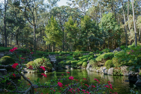 รูปภาพArdillas – เลือกดูภาพถ่ายสต็อก เวกเตอร์ และวิดีโอ374 | Adobe Stock