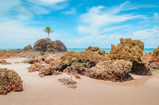 รูปภาพTambaba – เลือกดูภาพถ่ายสต็อก เวกเตอร์ และวิดีโอ151 | Adobe Stock