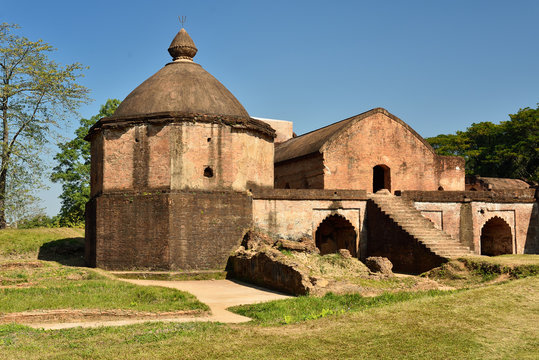 Awesome Assam Images – HD & 4K Photos Free to Download | PikWizard