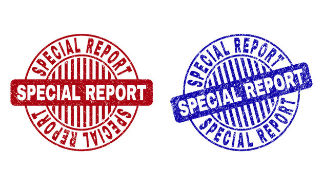 Special Report Logo