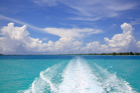 Bullar bilder – Bläddra bland 910 stockfoton, vektorer och videor ...