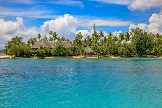 Bullar Bilder – Durchsuchen 945 Archivfotos, Vektorgrafiken und Videos ...