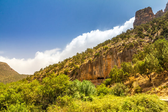 Benis bilder – Bläddra bland 1,222 stockfoton, vektorer och videor ...