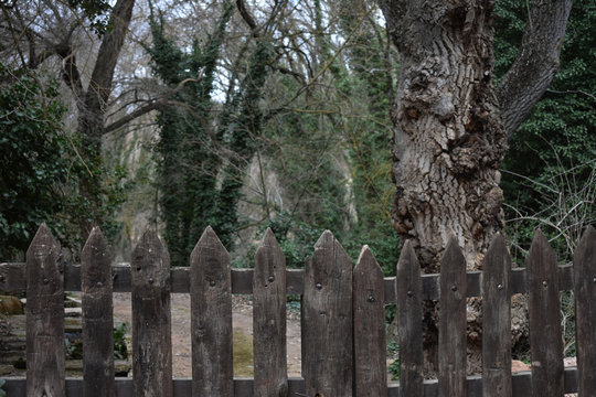 รูปภาพVerja – เลือกดูภาพถ่ายสต็อก เวกเตอร์ และวิดีโอ1,066 | Adobe Stock