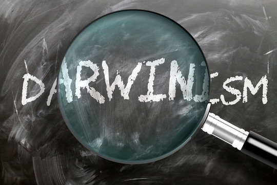 Darwinism Images – Browse 336 Stock Photos, Vectors, and Video | Adobe ...