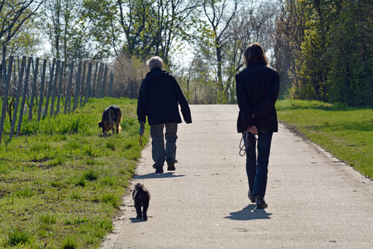 "Gassi Gehen Bilder – Durchsuchen 3,495 Archivfotos, Vektorgrafiken und ...