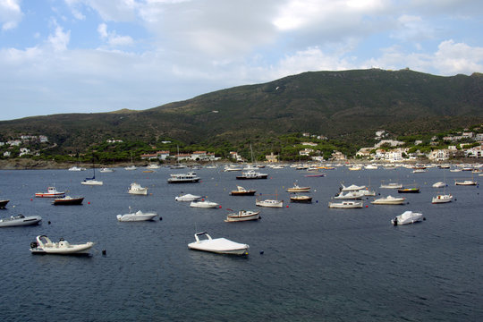 Faenar Bilder – Durchsuchen 369 Archivfotos, Vektorgrafiken und Videos ...