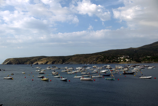 Faenar Bilder – Durchsuchen 369 Archivfotos, Vektorgrafiken und Videos ...