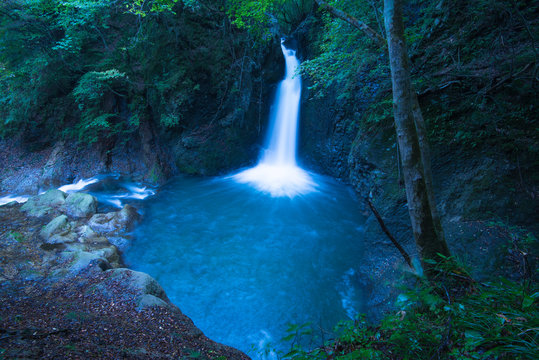 光明 Images – Browse 441 Stock Photos, Vectors, and Video | Adobe Stock