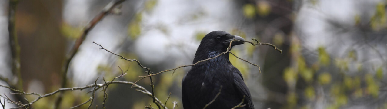 8,283 IMAGES, PHOTOS ET ILLUSTRATIONS VECTORIELLES STOCK APPROPRIÉES ...