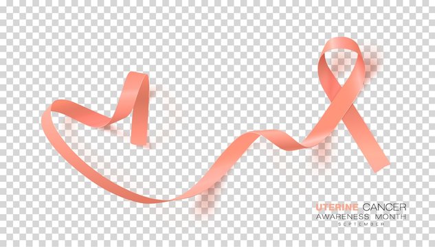 "Peach Color Ribbon" Images – Browse 50 Stock Photos, Vectors, and ...