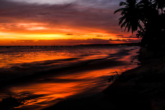 รูปภาพSanset – เลือกดูภาพถ่ายสต็อก เวกเตอร์ และวิดีโอ1,558 | Adobe Stock