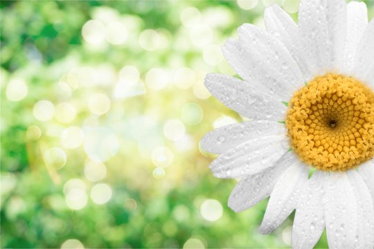 「2646」の画像 - 125 件の Stock 写真、ベクターおよびビデオ | Adobe Stock