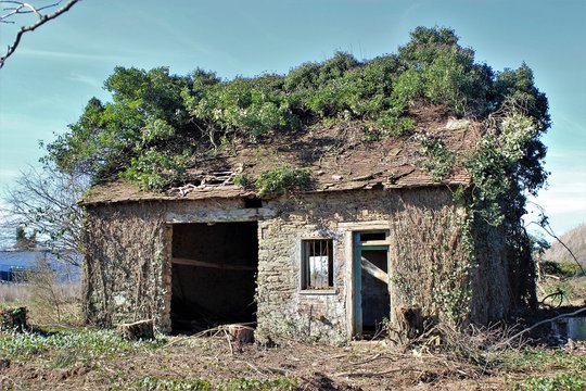 รูปภาพBaraque – เลือกดูภาพถ่ายสต็อก เวกเตอร์ และวิดีโอ970 | Adobe Stock