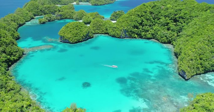 "Palau Images – Browse 35,697 Stock Photos, Vectors, and Video | Adobe ...
