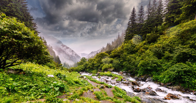 Fagaras Imagens – Procure 13,698 fotos, vetores e vídeos | Adobe Stock