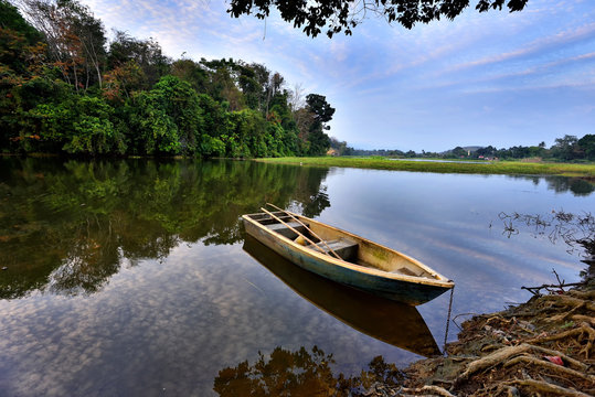 Raban Images – Browse 10 Stock Photos, Vectors, and Video | Adobe Stock