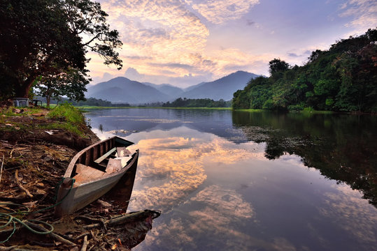 Raban Images – Browse 10 Stock Photos, Vectors, and Video | Adobe Stock