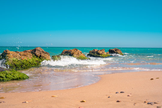 Mugir Images – Browse 61 Stock Photos, Vectors, and Video | Adobe Stock