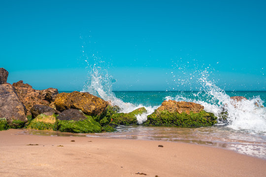 Mugir Images – Browse 61 Stock Photos, Vectors, and Video | Adobe Stock