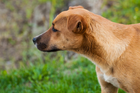 Shable Images – Browse 55 Stock Photos, Vectors, and Video | Adobe Stock