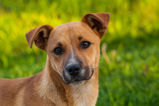 Shable Images – Browse 55 Stock Photos, Vectors, and Video | Adobe Stock