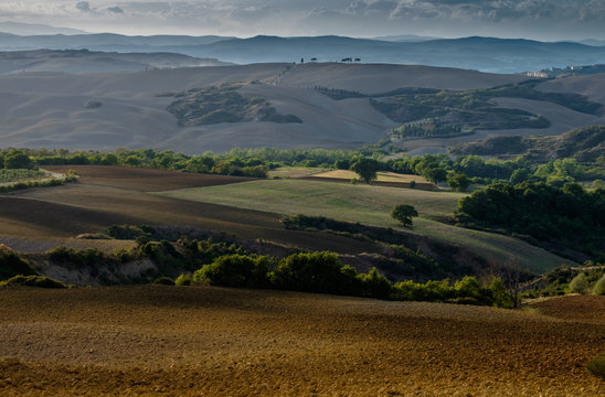 Orchia Bilder – Durchsuchen 97 Archivfotos, Vektorgrafiken und Videos ...